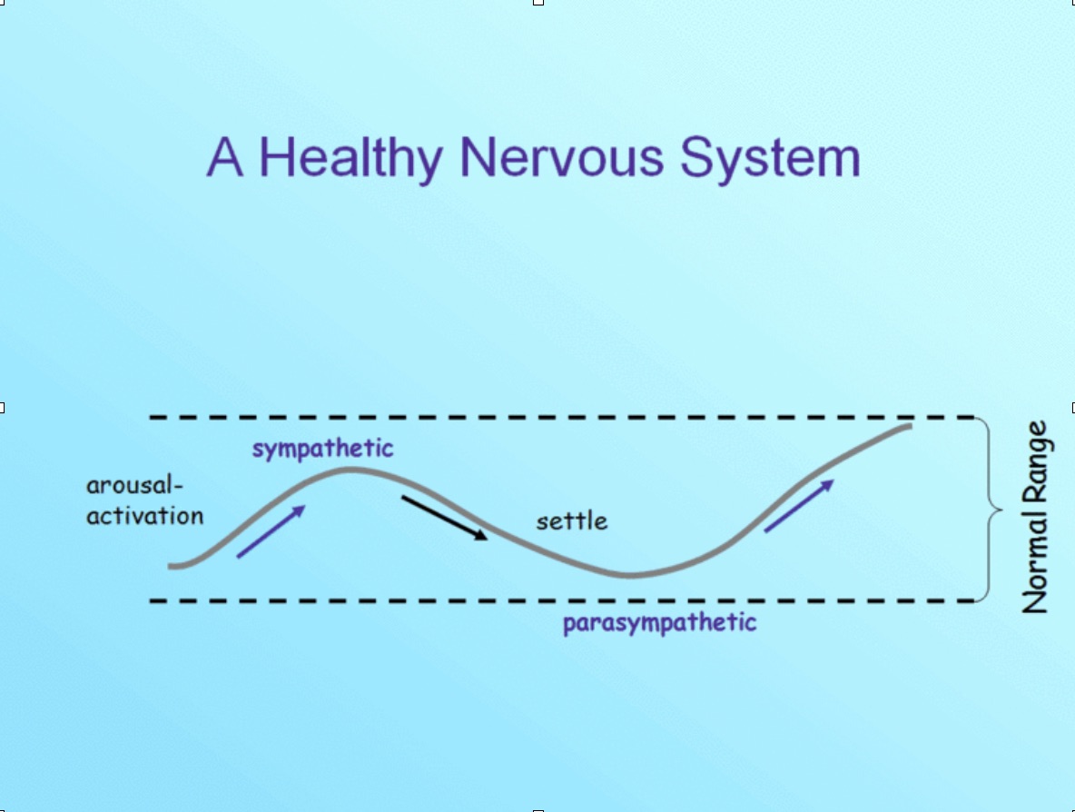 * Physically Speaking Lesson 4 – The Awakening Group